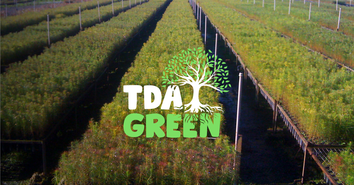 TDA Green